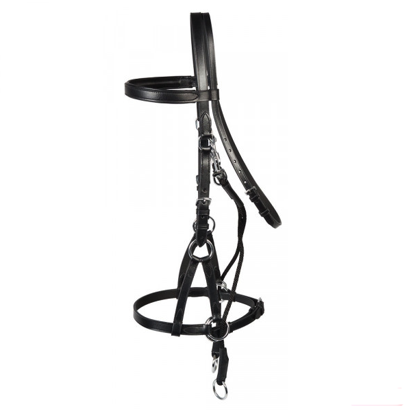 Suulisteta Valjad | AllForHorses