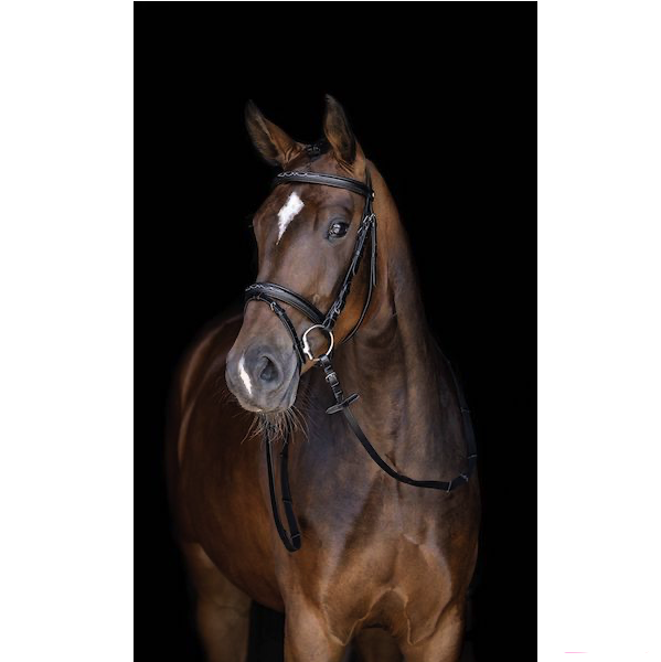 HKM Nahast Ratsmetega Valjad "Jana" | AllForHorses