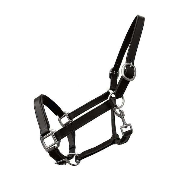 Leather Halter "Basic"(XFull) | AllForHorses
