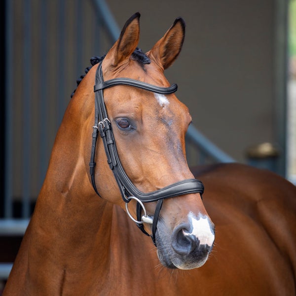 Nahast Ratsmetega Valjad "Lusso Ergonomic" | AllForHorses