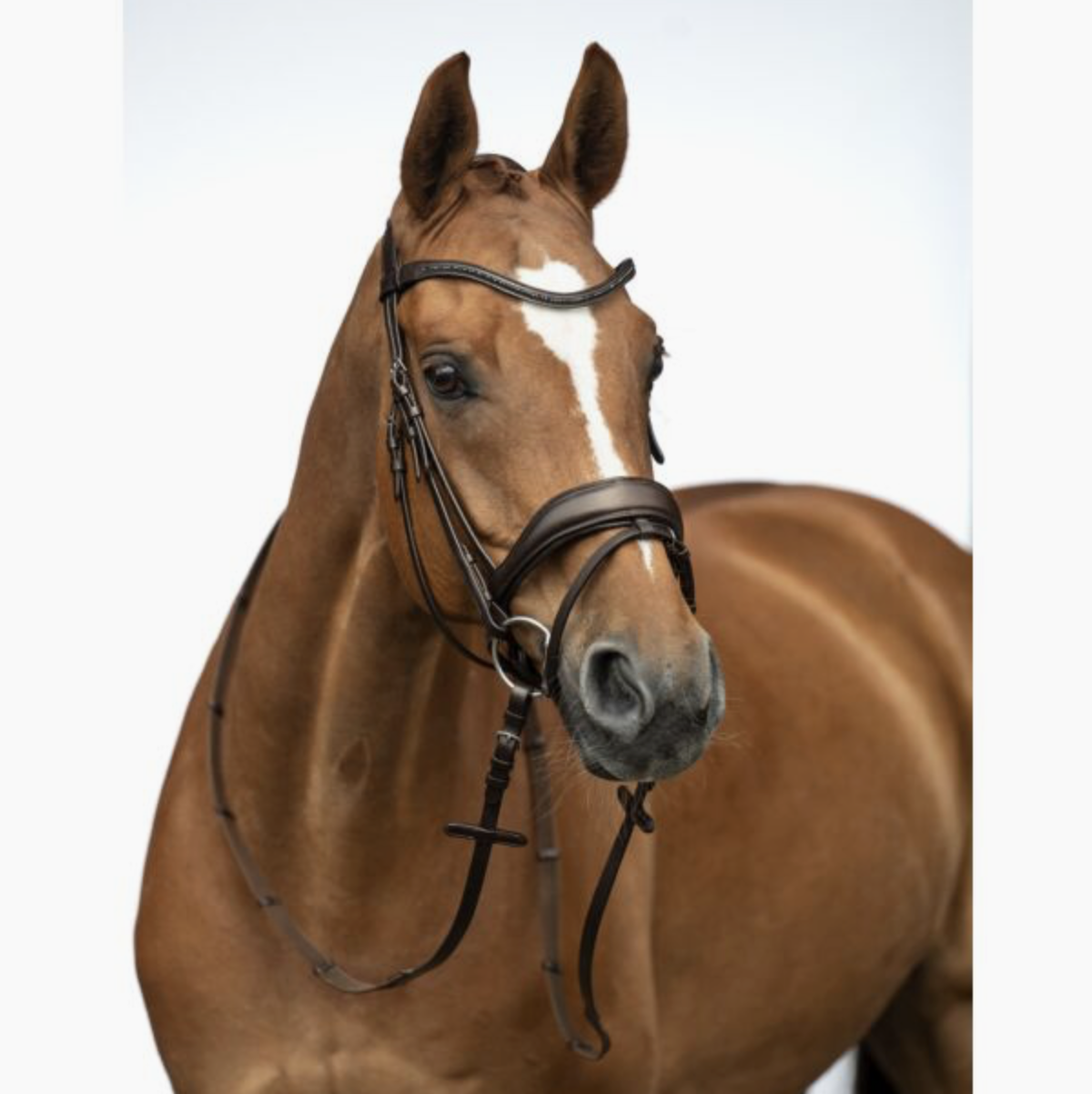 HKM Nahast Anatoomilised Valjad "Ira" | AllForHorses